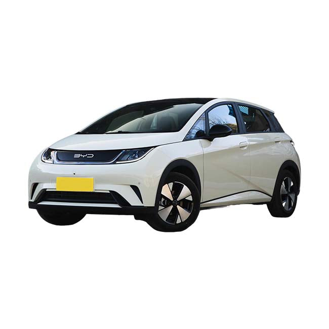 BYD dolphin – NINGBO BRABUS